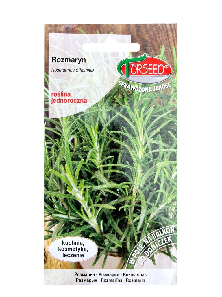 Rozmarinas 0,1 - Gerbuviobroliai.lt - Apželdinimas, trinkelių klojimas ...